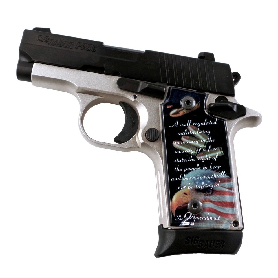 Custom P238 Ambidextrous SPD Acrylic Grips 2nd Amendment Black | eBay