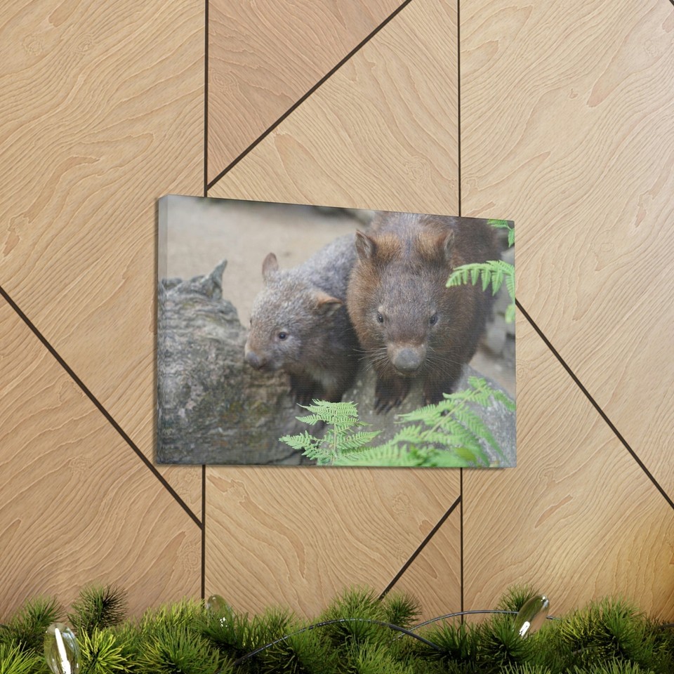 Funny Wombat Silly Wombat Scene Couple Wall Art Ready to Hang Unframed ...