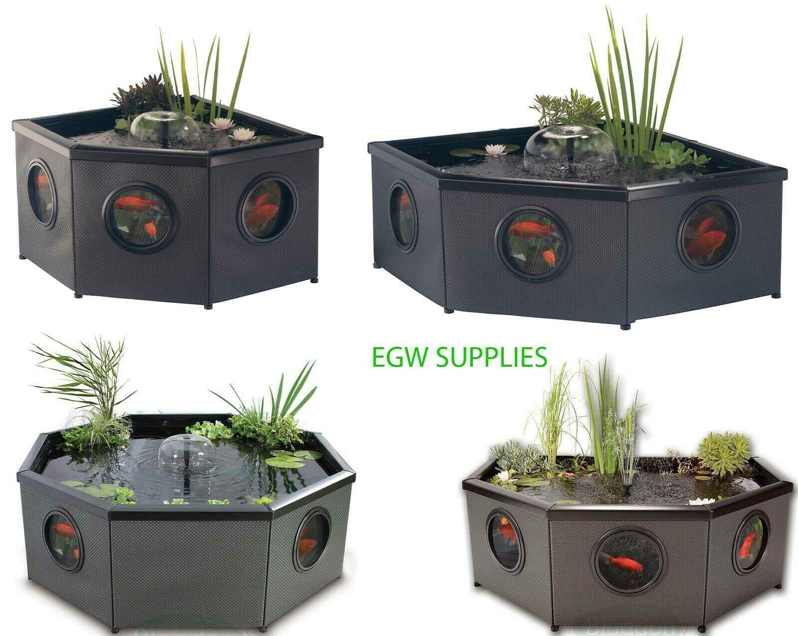 Blagdon Affinity Mocha Raised Fish Pond Patio Garden Aquarium Feature ...