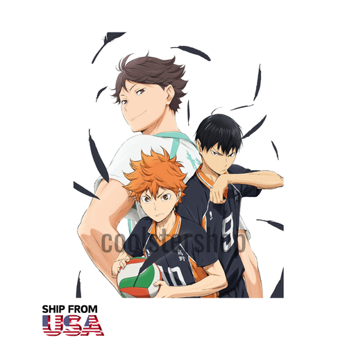 Haikyuu!! Season 1-4 + 4 Movie + OVA DVD Anime DVD [ENG DUBBED] USA ...