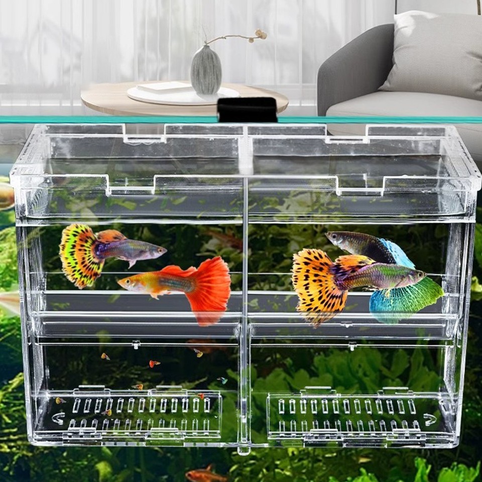 Fish Breeder Box for Fish Tank, Plastic Aquarium Breeder for Fry Fish ...