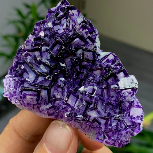 85G Natural Purple "QR Code"Fluorite Cluster Crystal Mineral Specimen ...