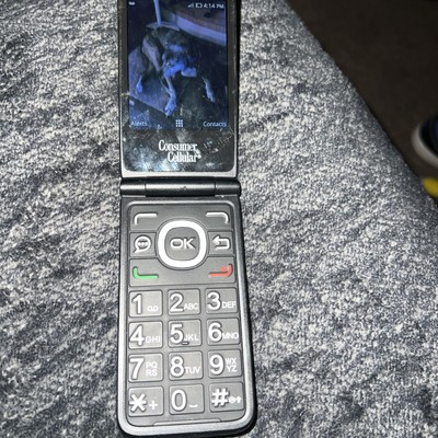 Alcatel Go Flip 4044L, 4GB, Red, (Consumer Cellular) 4G VoLTE Flip ...