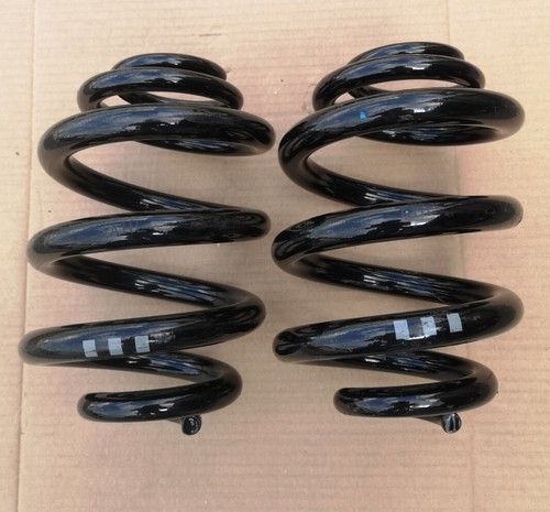 Delivery Mile Genuine VW Volkswagen T30/ T32 Rear Coil Springs ...
