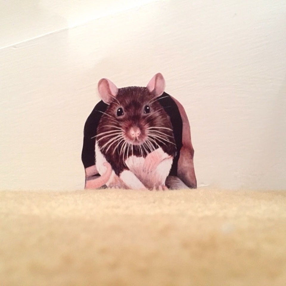 Charming Rat Wall Sticker - Easy to Apply, Reposition and Remove | eBay UK