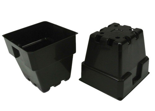 100mm Square Garden Pots x 20pcs ( L95 x W85mm ) - Propagation ...