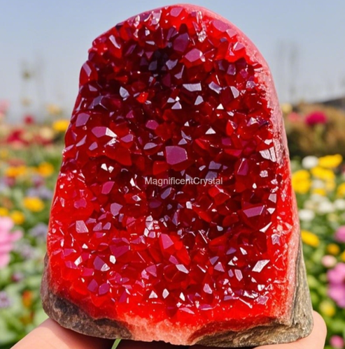 Bestseller 350G Red Geode Quartz Cluster Crystal Healing Reiki Gift ...