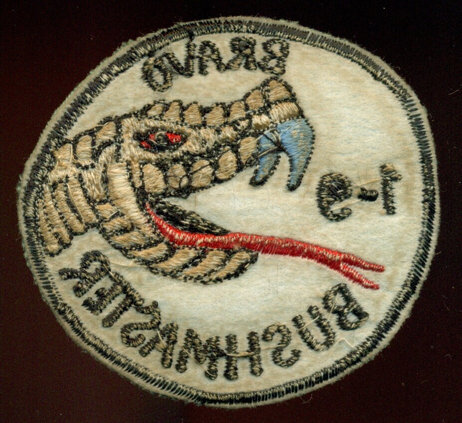 US Army Bravo Company 1st BN 9th Infantry Bushmaster Vietnam Patch N-29 ...
