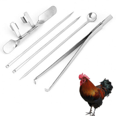 Poultry - Farm Tool