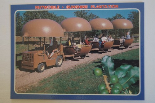 Nutmobile Sunshine Plantation Queensland Australia Collectable Postcard ...