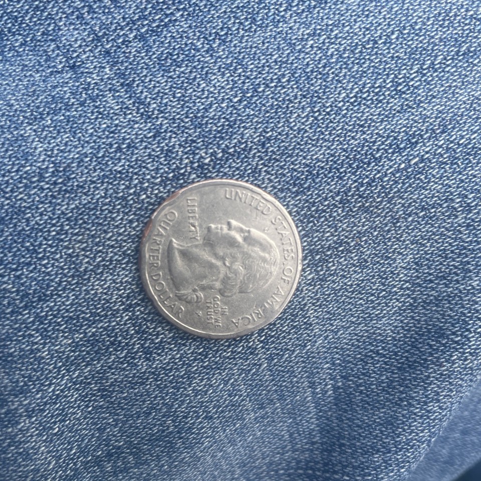 Rare 2004 IOWA Quarter Errors Miss Shape | eBay