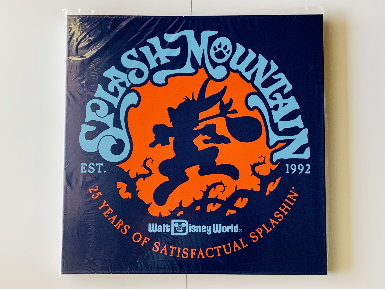 Art Of Disney Walt Disney World Splash Mountain Art Canvas 22 X 22” Brer Rabbit | eBay