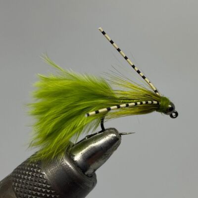 Six (6) - Tungsten Beadhead Jig Bugger - Olive - Streamer | eBay