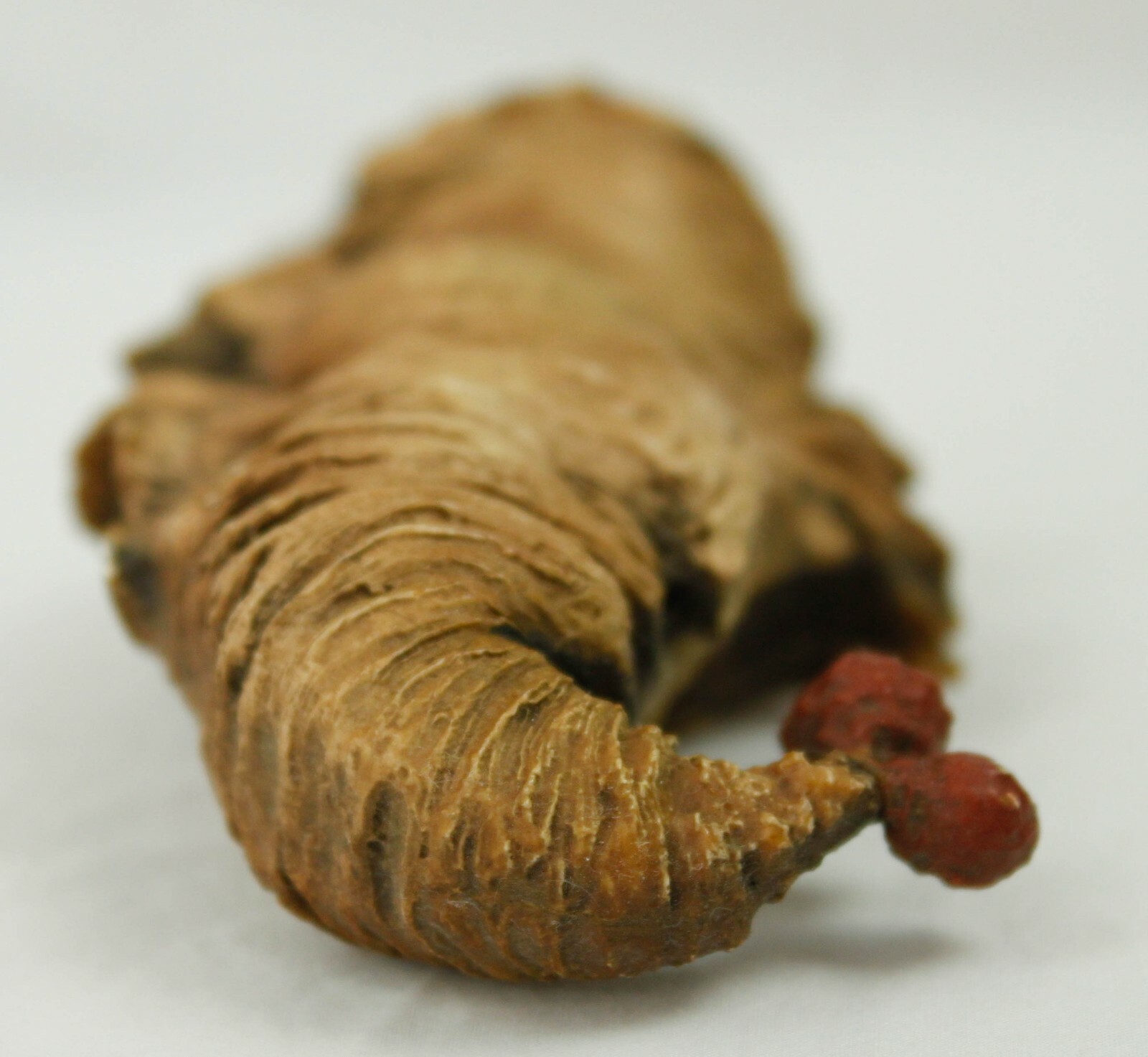 YULE #1110 Composite Whimsical Santa Head With Pipe Figurine Christmas ...