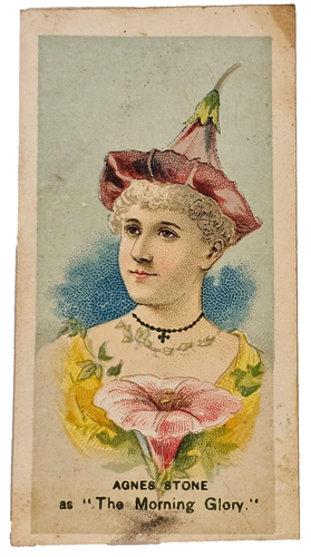 1889 DUKE's FANCY DRESS BALL COSTUMES AGNES STONE-N73-FREE USA Shipping ...