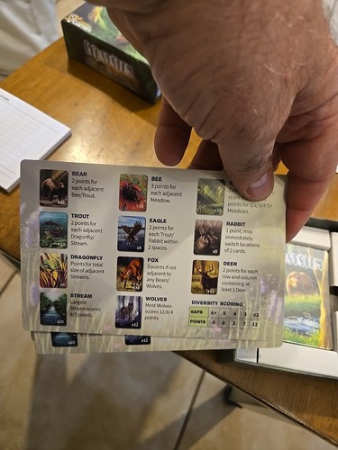 ECOSYSTEM Card Game by Genius Games | eBay