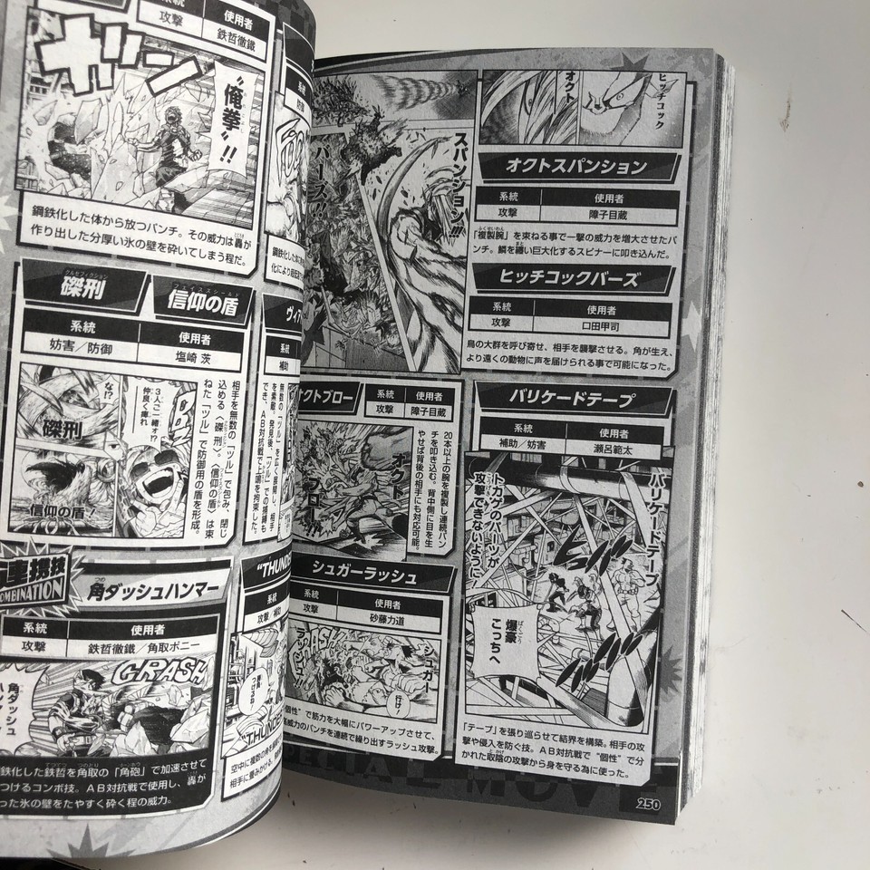 My Hero Academia Final Fan Book Ultra Age Japan Limited Anime Manga MHA ...