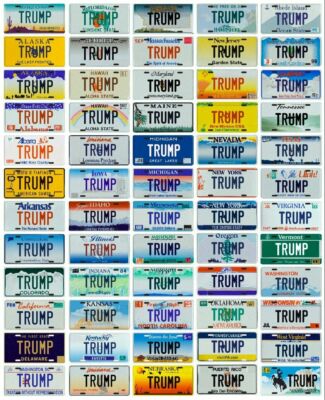 President Donald Trump Your State License plate | eBay