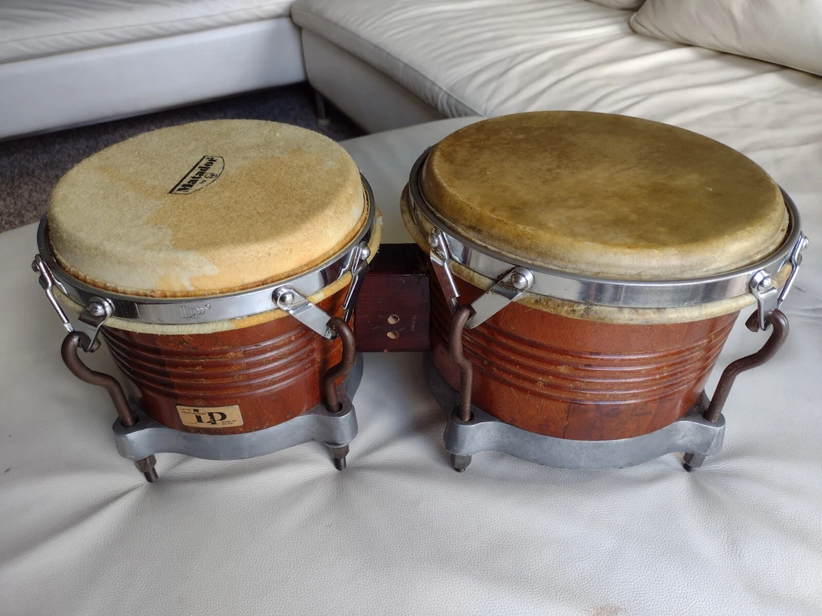 Lp Bongos