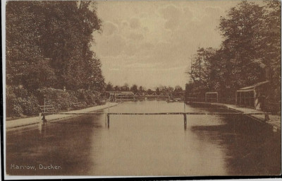 HARROW - DUCKER | eBay UK