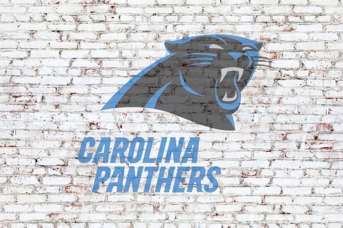 Carolina Panthers on brick NFL Football Wall Decor Art Print EXTRA ...