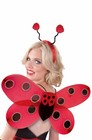 Ladybug Kit | eBay