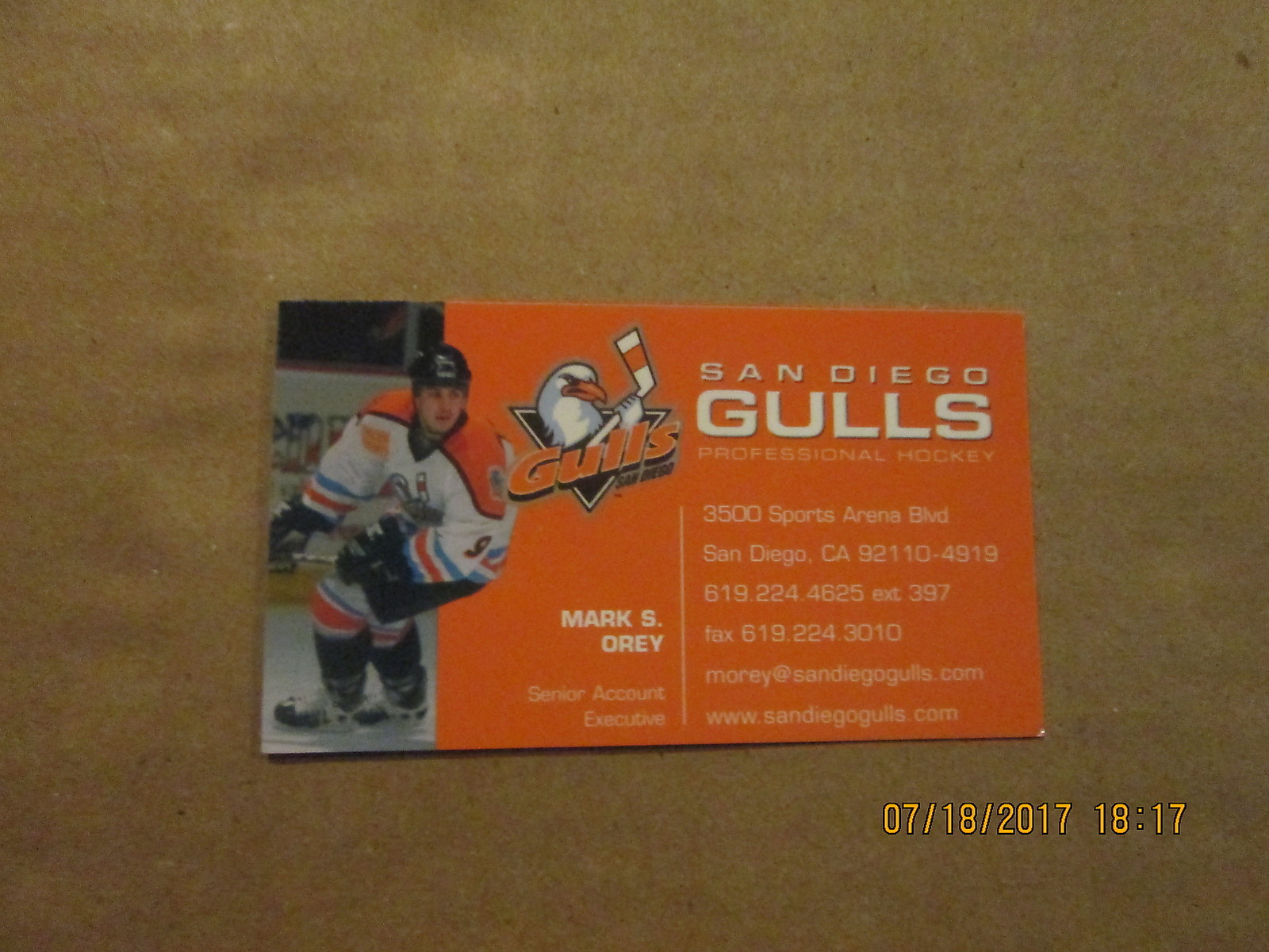 ECHL IHL San Diego Gulls Vintage Defunct Team Logo Hockey Business Card ...