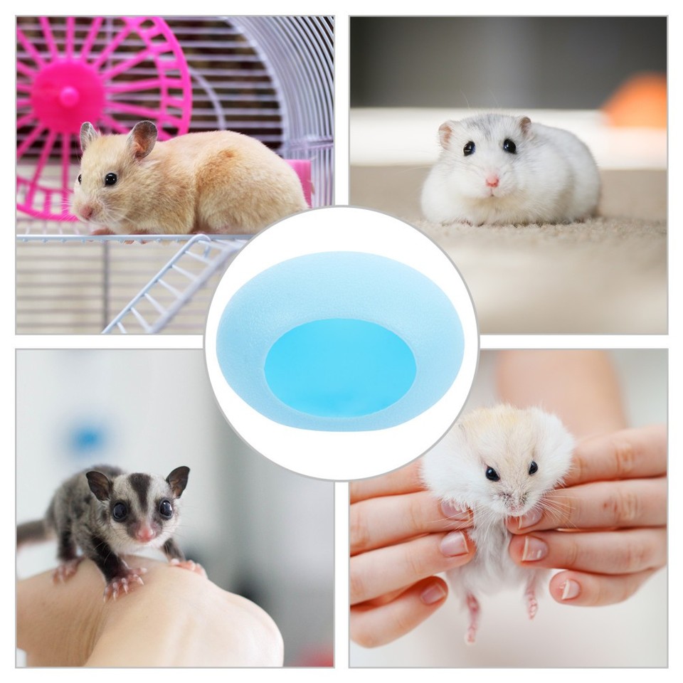 Easy to Clean Hamster House Plastic Egg Shape Hideout for Small Animal ...