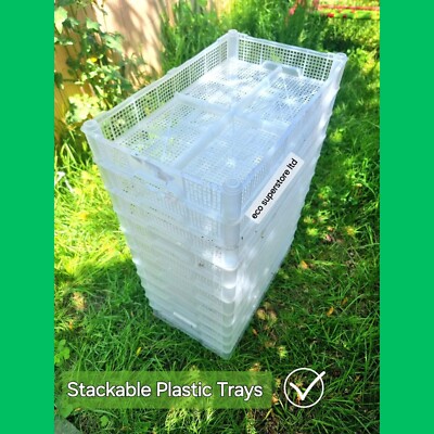 Strong Plastic Trays - Extra Large Garden Containers 50x30x10cm ...
