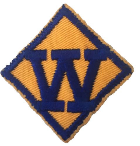 Vintage Boy Scout Weblo Blue and Gold Patch | eBay