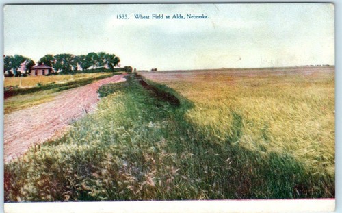 ALDA, Nebraska NE WHEAT FIELD ca 1910s Hall County Farming Postcard | eBay