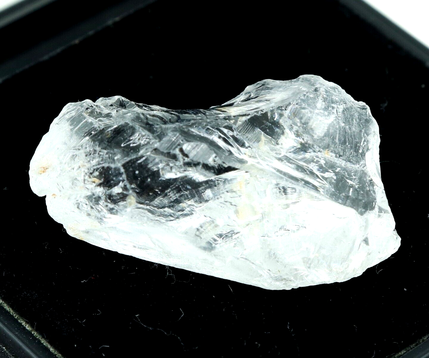37.30 Ct Rare Herkimer Diamond Water Clear Quartz Crystal Anthraxolite ...