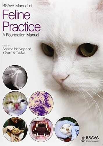BSAVA Manual of Feline Practice: A - Paperback, by Harvey Andrea ...