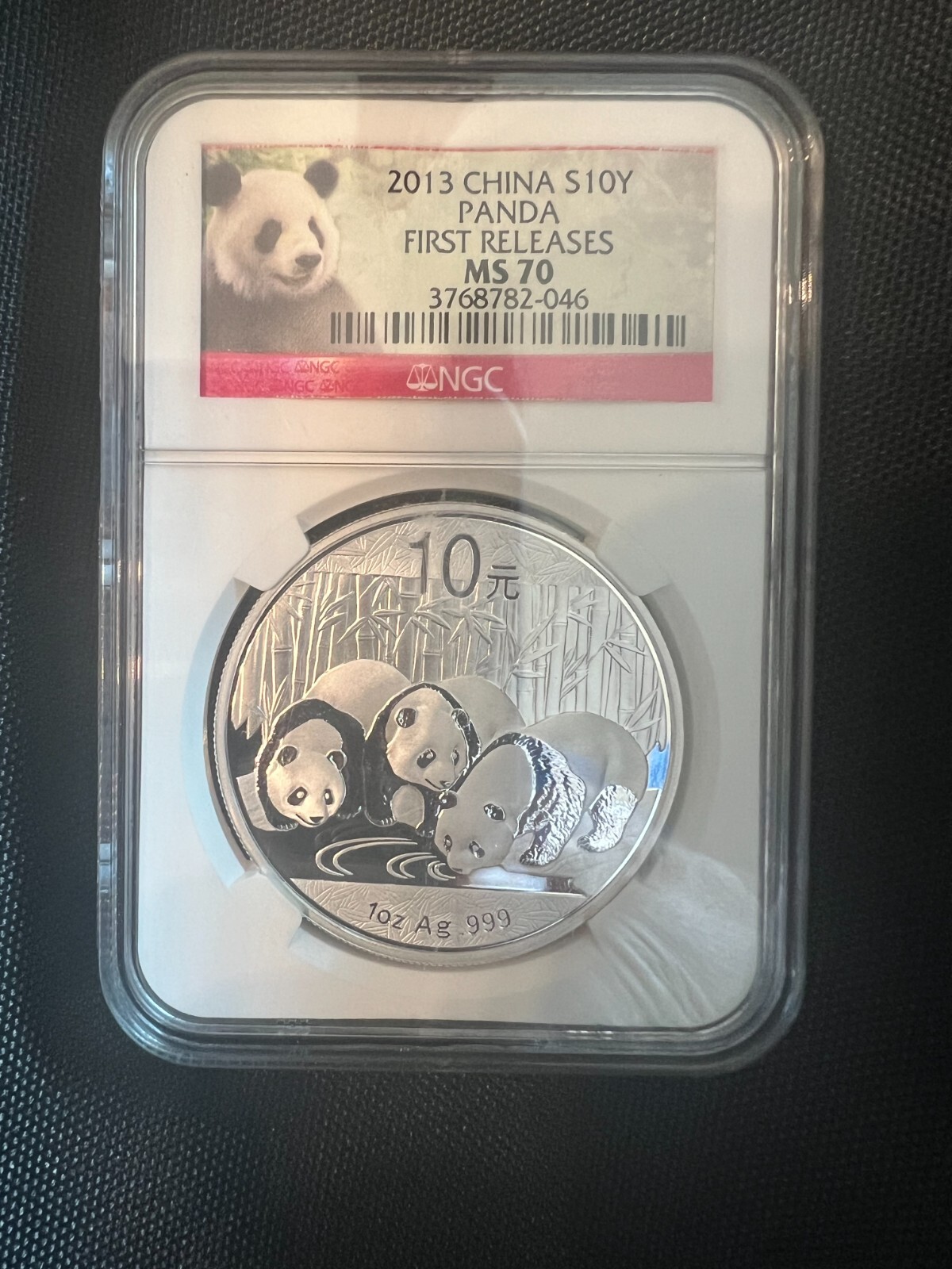 2013 China 1oz Silver S10Y Panda NGC MS 70 First RELEASES | eBay