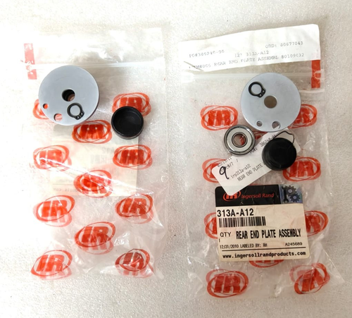 Ingersoll Rand 313A-A12 Rear End Plate Assembly (Lot of 2 Kit) | eBay
