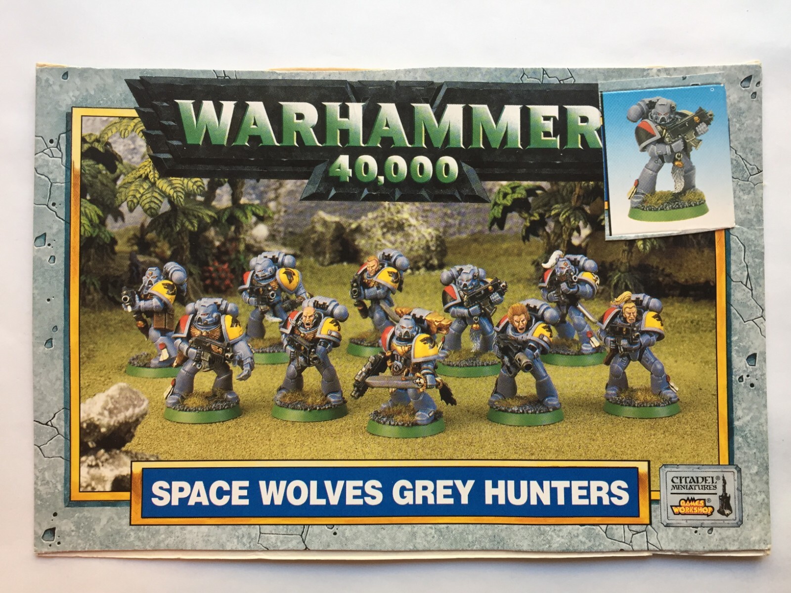 Space Wolf GREY HUNTERS box covers [front and back] | eBay
