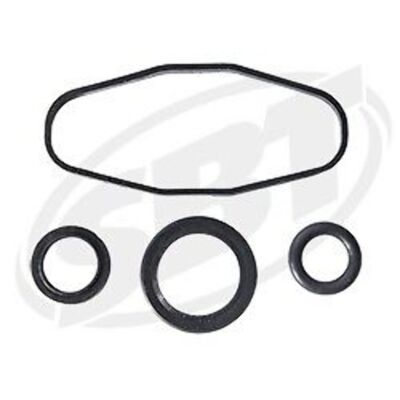 Sea-Doo Rave Valve Rebuild Kit GTXDI/RX DI/LRV DI/XPDI/Sport LEDI/3D ...