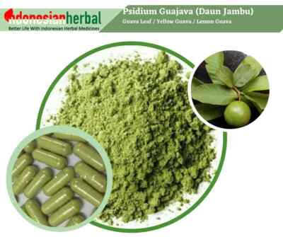 Capsule Of Pure Psidium Guajava Herbs Yellow Guava Lemon Guava Organic ...