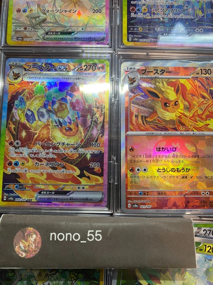 Pokemon Terastal Festival Eevee Evolution master ball Miracle ...