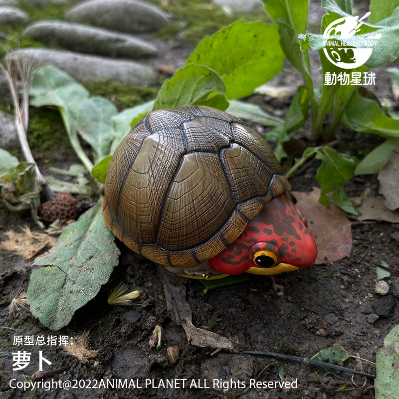 ANIMAL HEAVENLY BODY 08 Blind Box Model Matamata Turtle Stink-pot ...