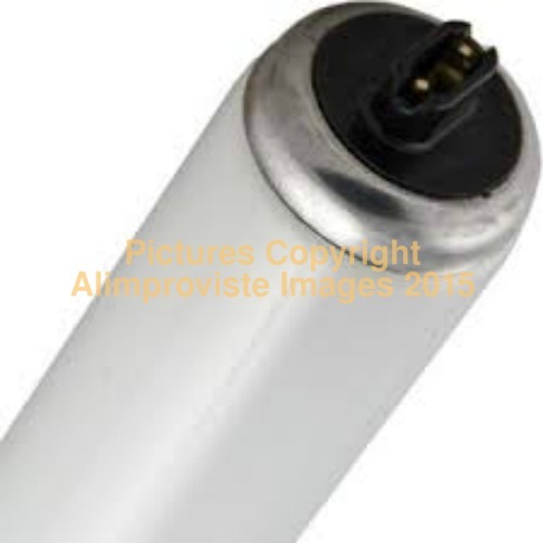 48 Fluorescent Light Bulb Amazon.com: DYSMIO F32T8 32 Watt 48 Inch