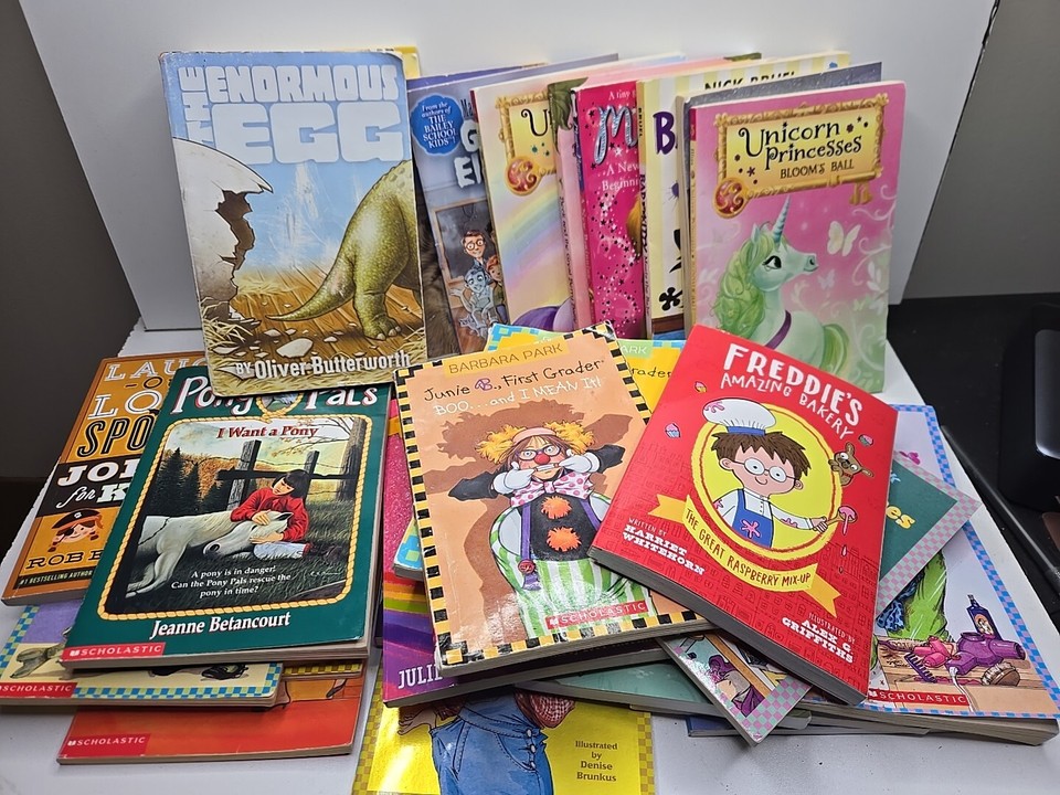 Lot of 30 RANDOM Children's Kids Chapter Books Instant Library Unsorted ...
