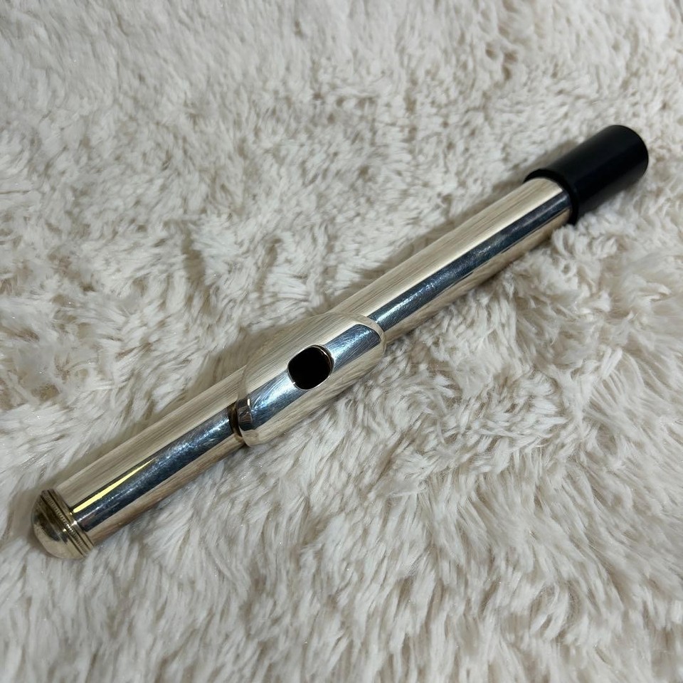 Maxtone Flute with Case, Used, No Sound Test, Slight Damage, Free ...