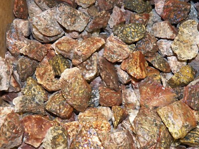1 lb Leopardskin Jasper Rough Tumbling Rock Stones Tumbler from South ...