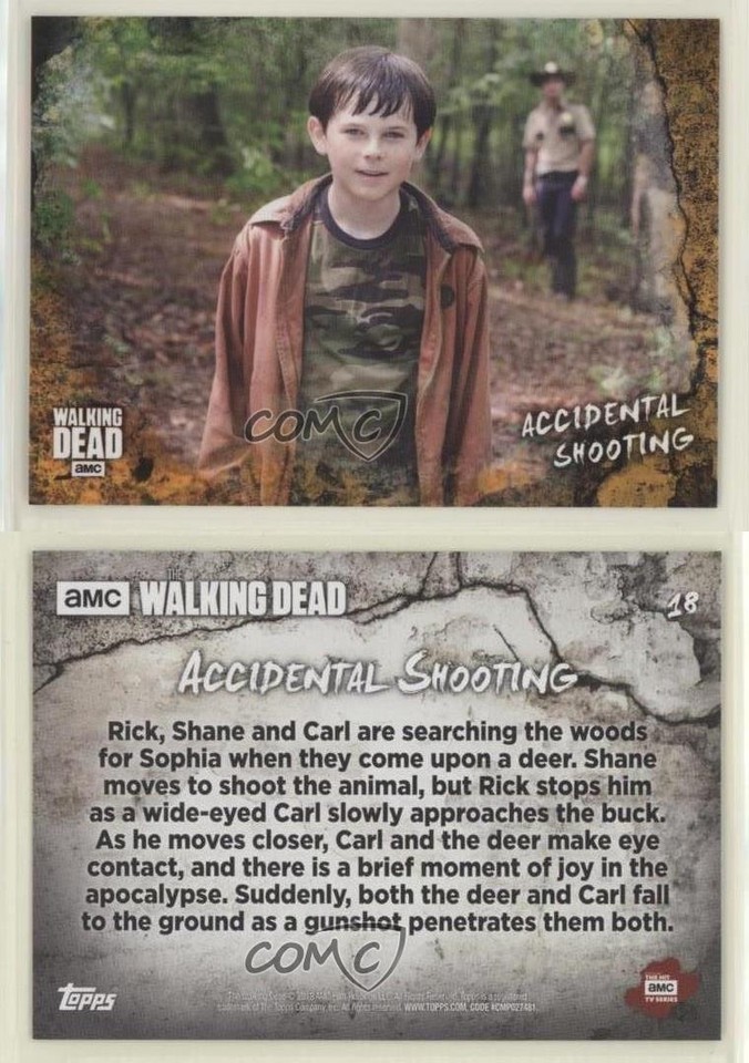 2018 Topps The Walking Dead Road to Alexandria Rust Carl Grimes Rick ...