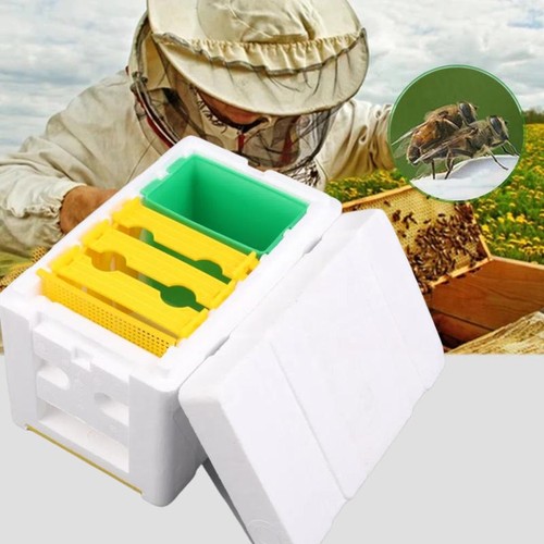 Queen Bee Breeding Box Bee Mating Box Beekeeper Garden Pollination ...