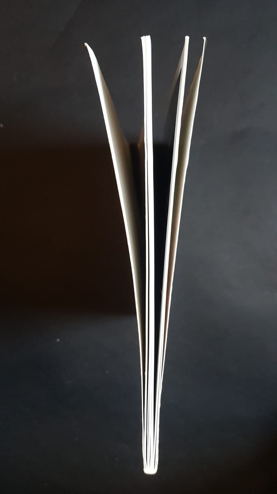 TWENTY 2; Erich von Gotha; Erotic Print Society; 2007 | eBay