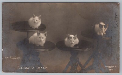 RPPC Kittens All Seats Taken Cats Real Rotograph Photo Postcard ...