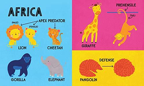 My First 100 Animal Words: Expand Vocabulary and Teach Babies and ...