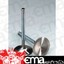 Milodon MIL45675-8 11/32" Stainless Exhaust Valves Ford 302-351 Clevo 1 ...